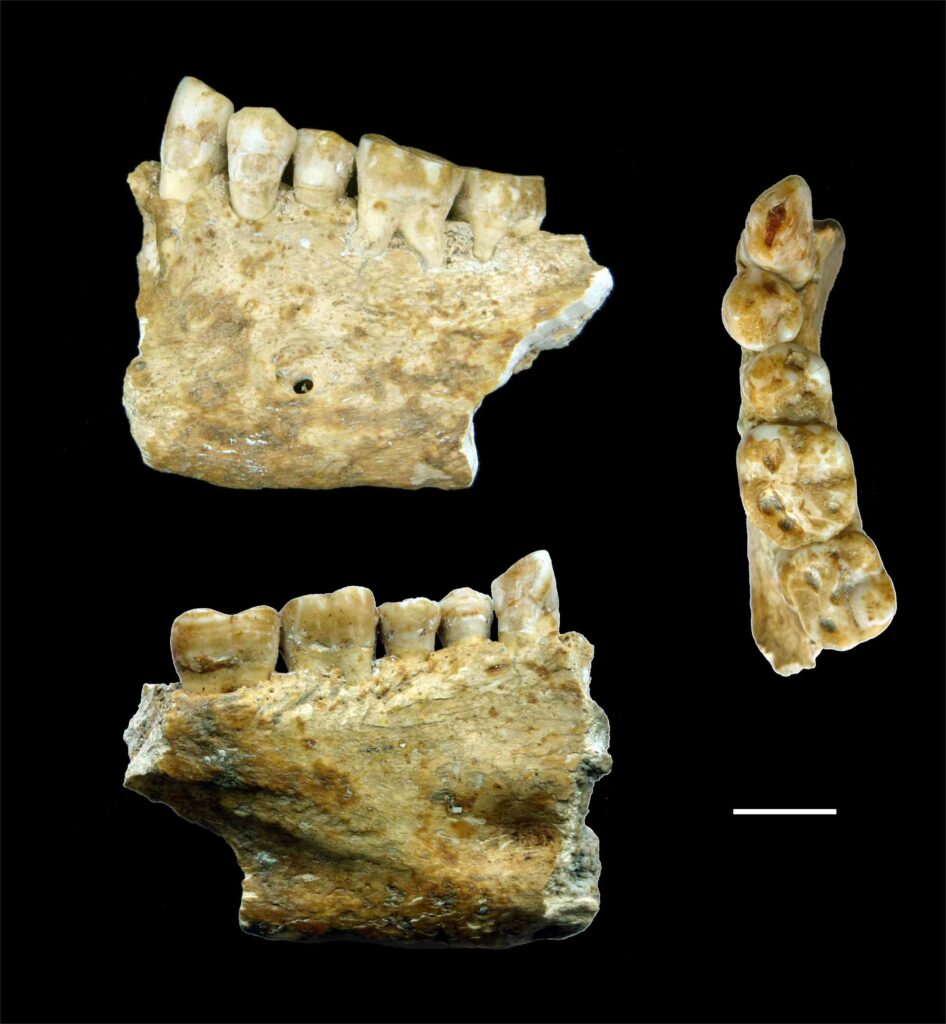 January/February 2013 - Archaeology Magazine