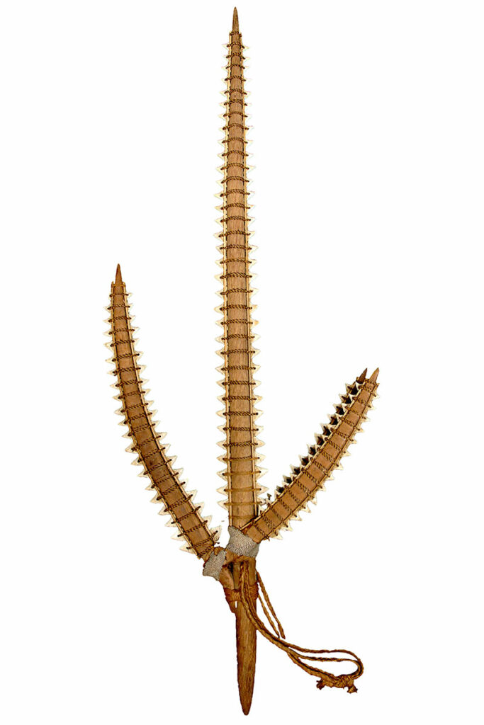 Artifacts - Pacific Islands Trident - Archaeology Magazine - January ...