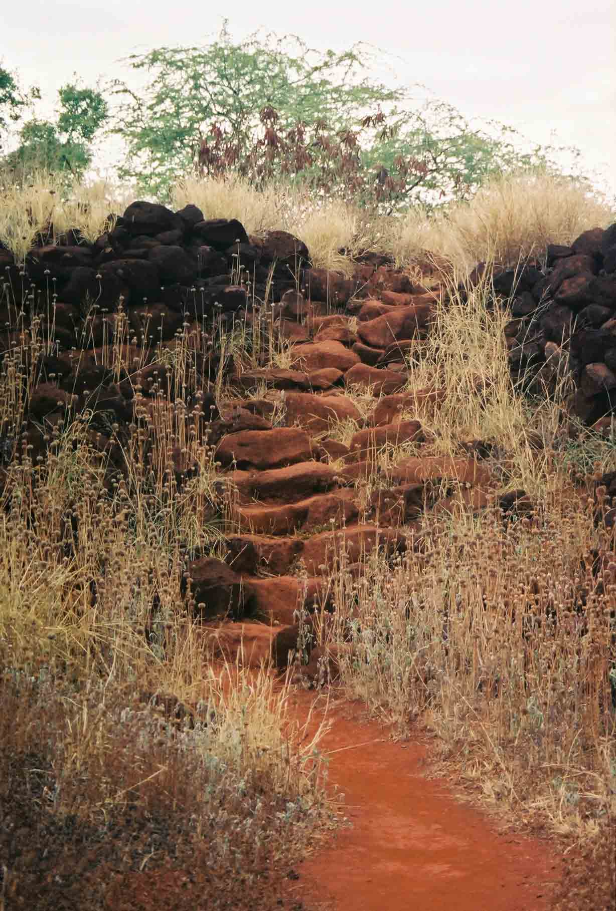 Off the Grid - Russian Fort Elizabeth, Hawaii - Archaeology Magazine ...