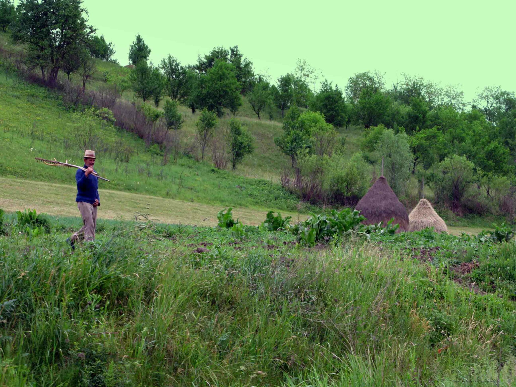 News - Plague Detected in Neolithic Skeletons From Scandinavia ...