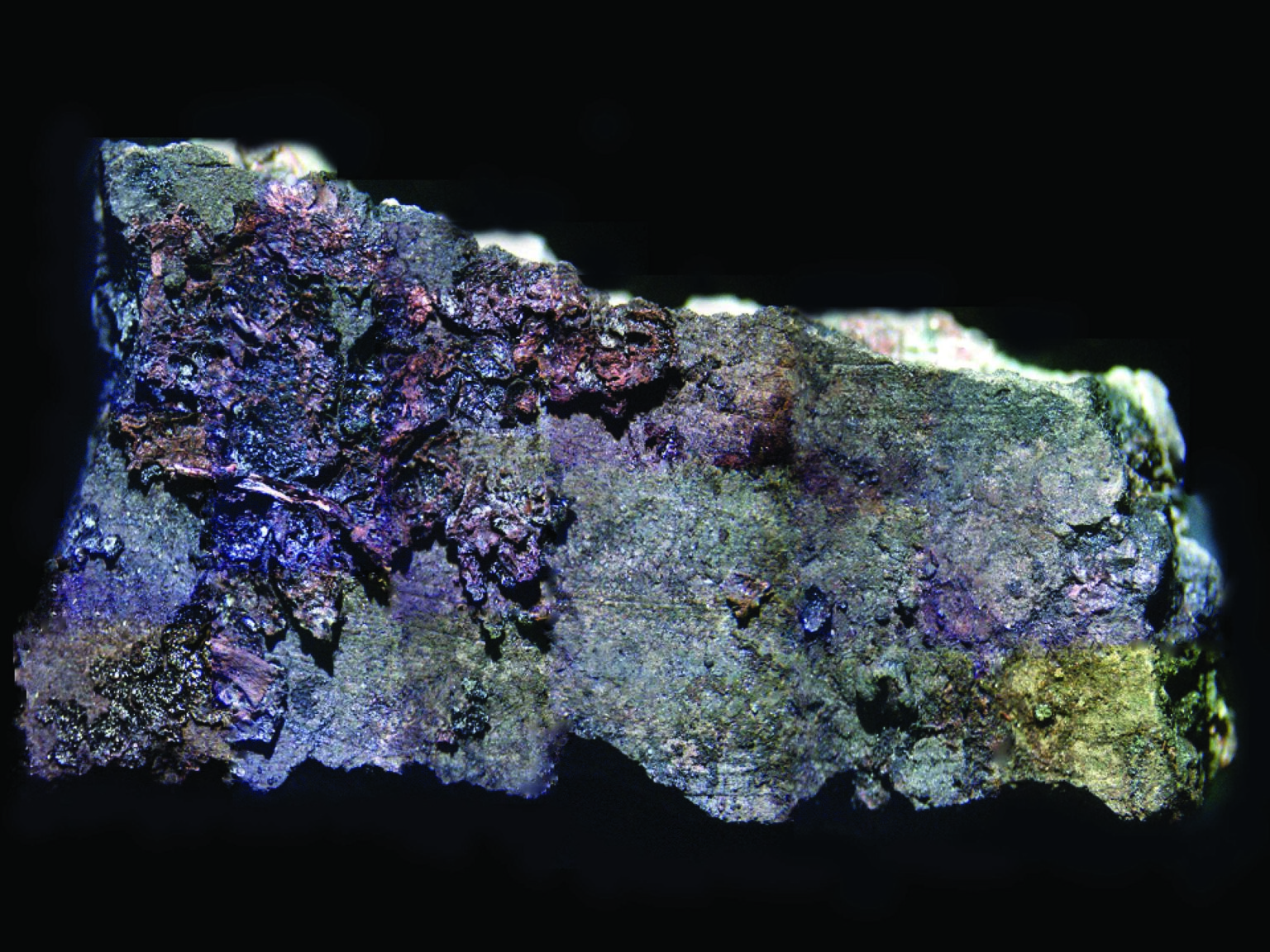 Ancient DNA Revolution - Danish Turnovers - Archaeology Magazine ...