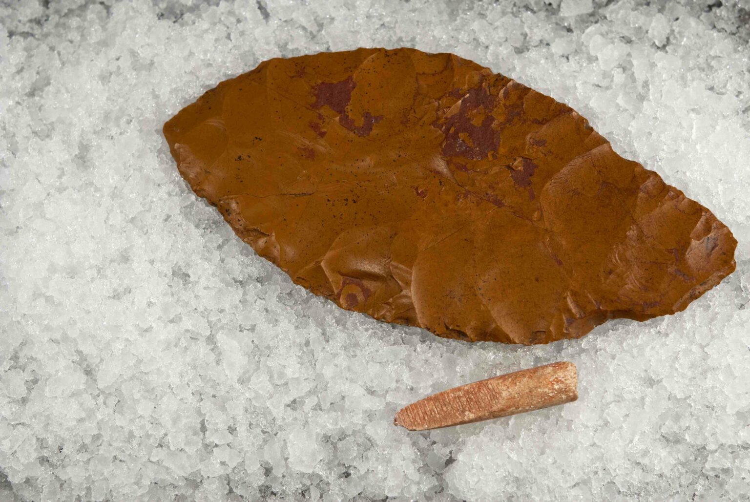 News - 13,000-Year-Old Clovis Stone Tool Found Beneath Maryland ...