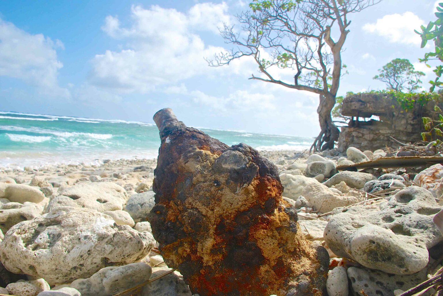 Features - Rome's Imperial Port - Archaeology Magazine - March/April 2015