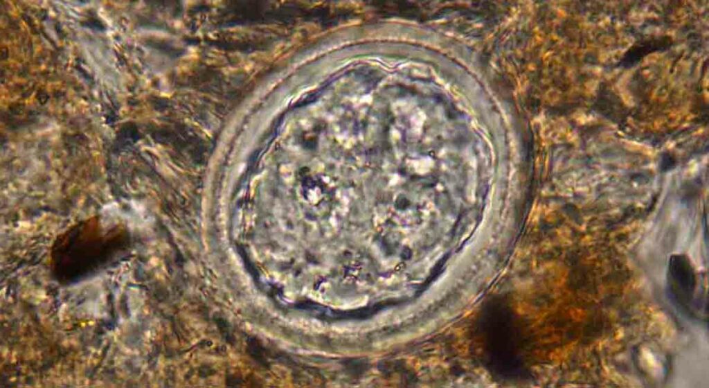 May/June 2015 - Archaeology Magazine