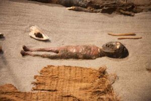 Digs & Discoveries - Atacama’s Decaying Mummies - Archaeology Magazine ...