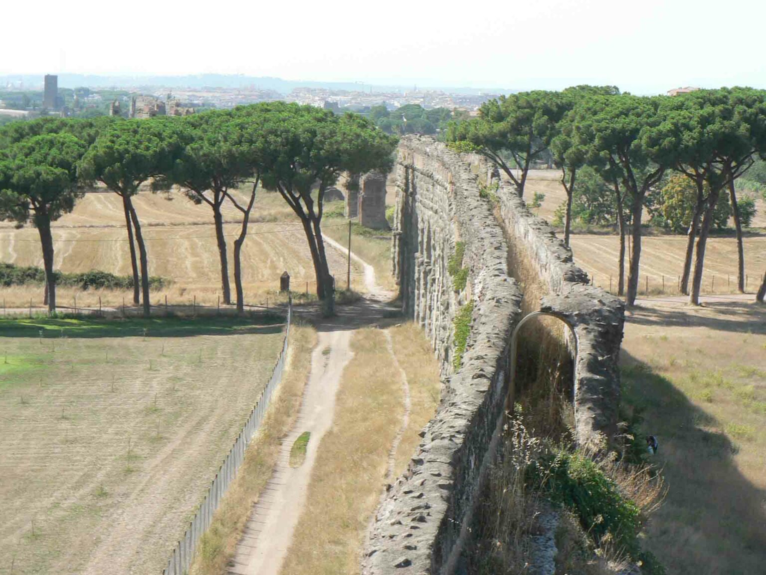 Features - The Acropolis of Athens - Archaeology Magazine - November ...