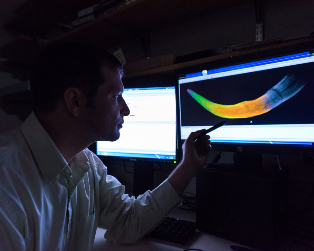 News - Tusk Analysis Supports Mammoth Extinction by Hunting ...