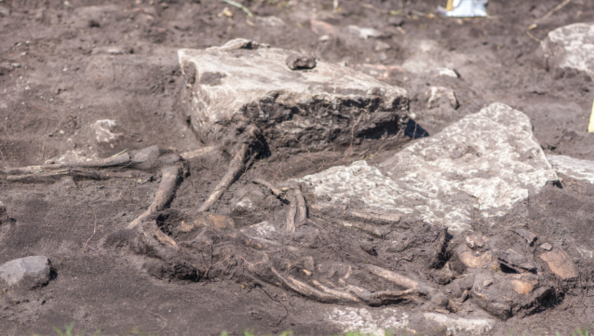 Features - Öland, Sweden. Spring, A.D. 480 - Archaeology Magazine ...