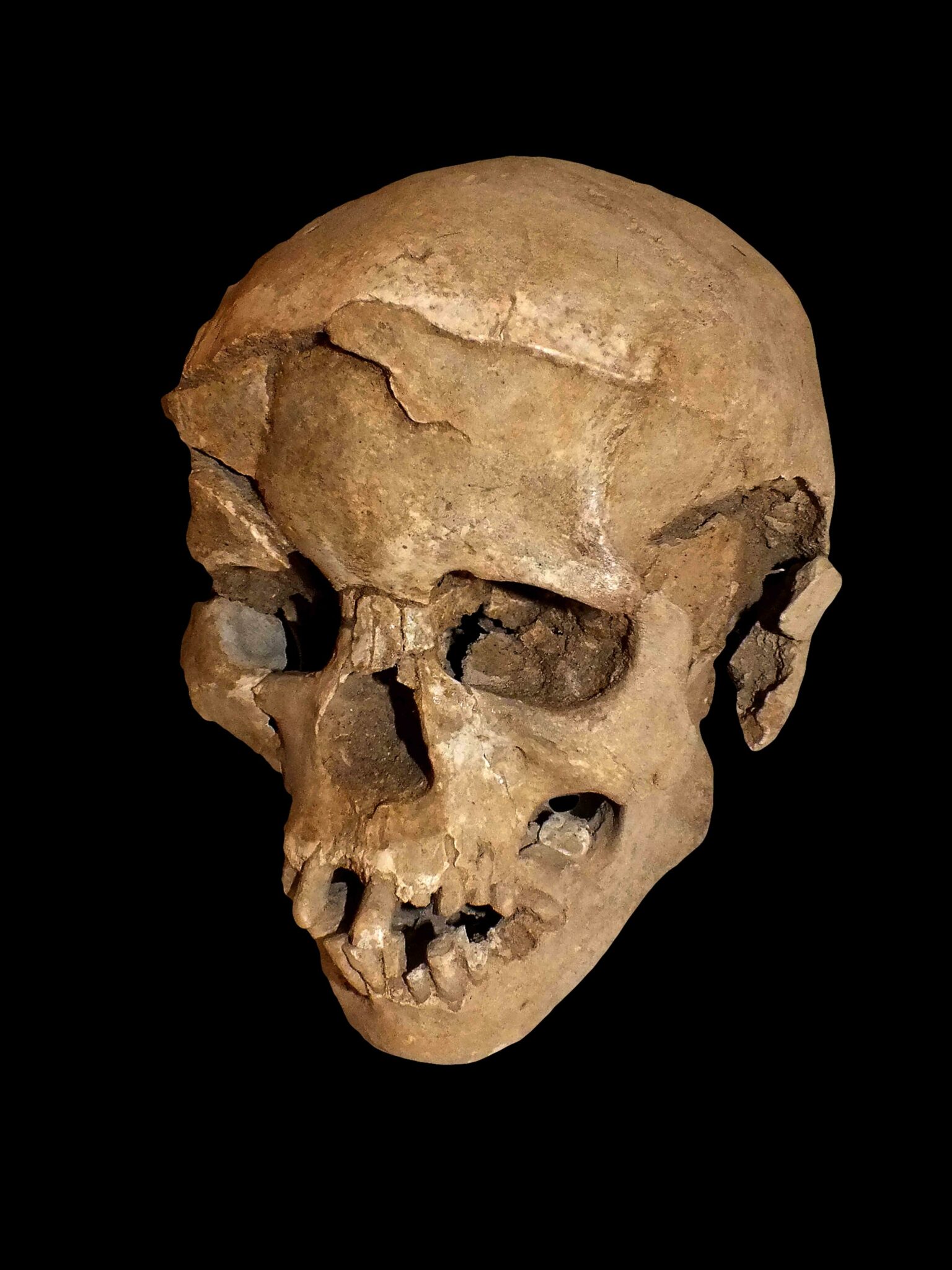 News - Human Ancestors Transported Large Stones for Miles to Make ...