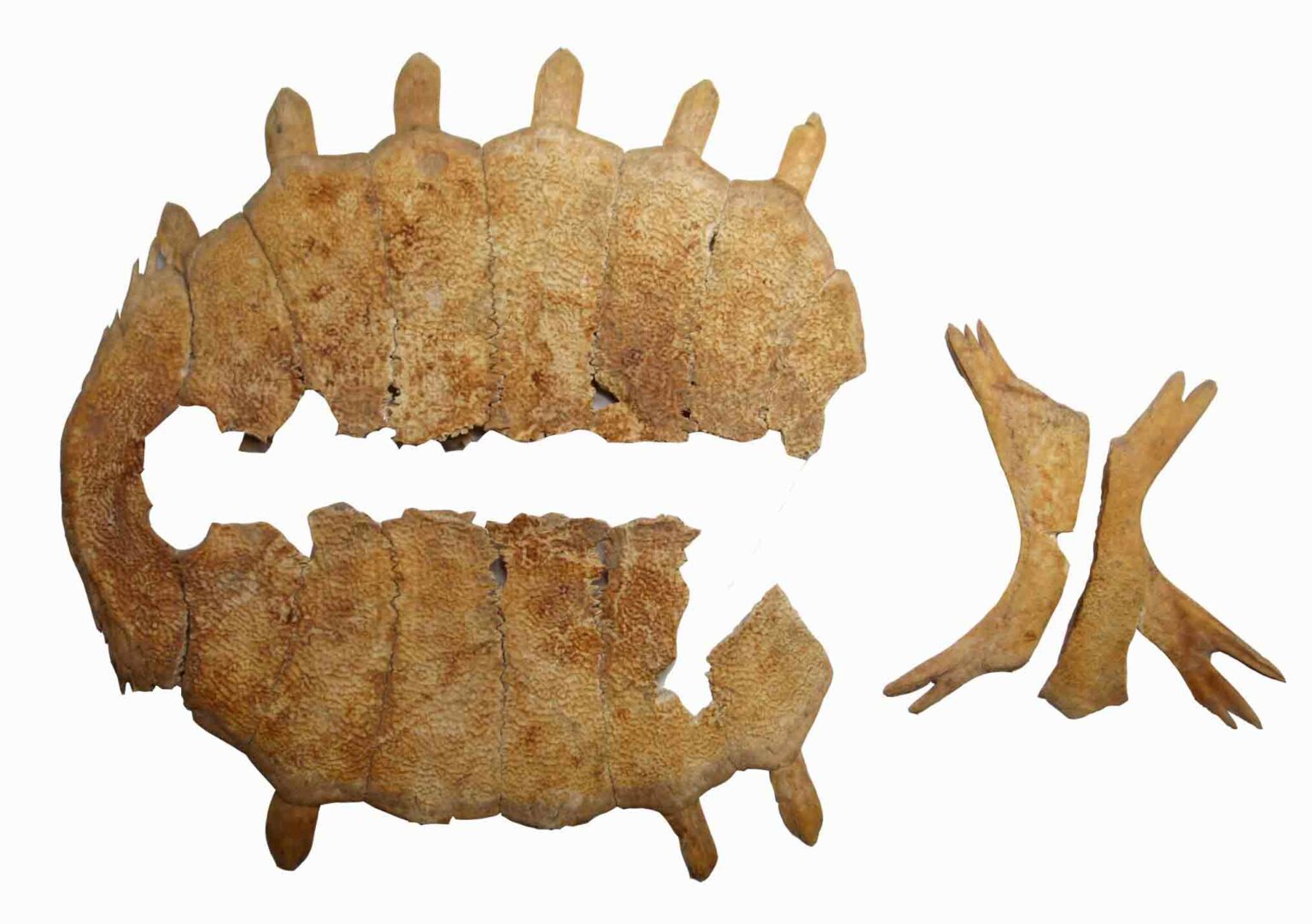 Features - The World's Oldest Writing - Archaeology Magazine - May/June ...