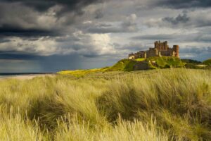News - Scotland’s 5,000-Year-Old Cochno Stone Revealed - Archaeology ...