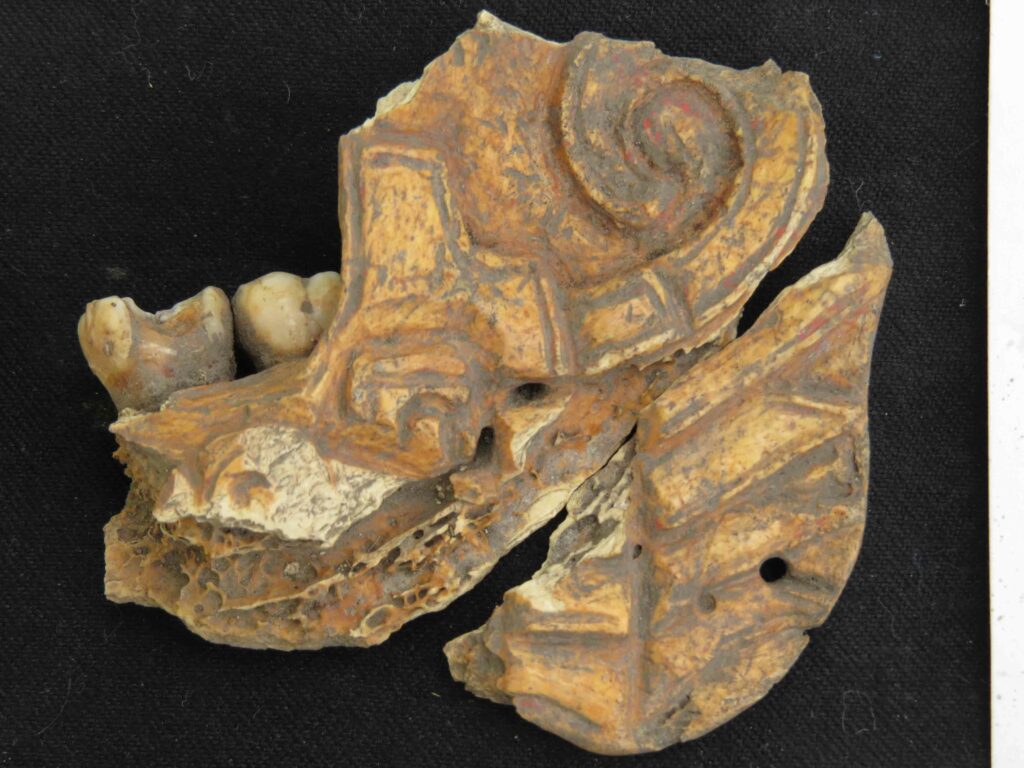 News - Freshwater Crab Remains Found in Pits at Palenque - Archaeology ...