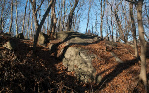 News - 17th-Century Home Site Excavated in Massachusetts - Archaeology ...