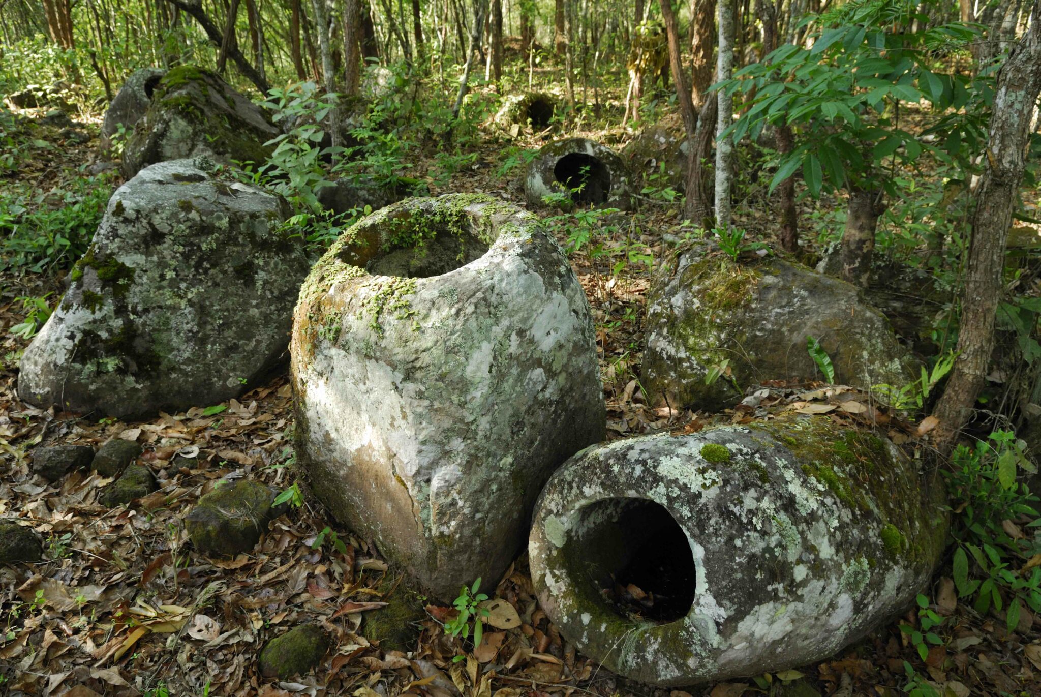 News - Prehistoric Campsite Discovered in New Mexico - Archaeology Magazine