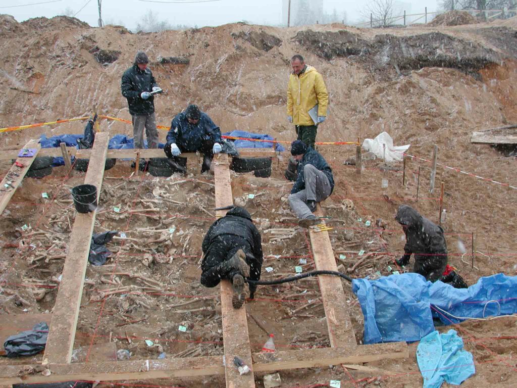 News - Scientists Re-examine Easter Islanders’ Diet - Archaeology Magazine