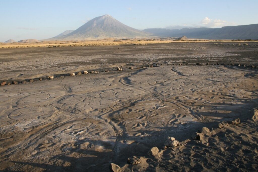 News - Volcanic Eruption Could Threaten Tanzania’s Trackways ...