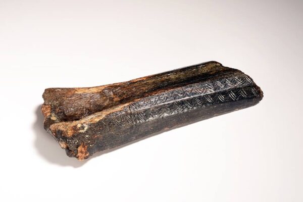 News - Ice-Age Artifacts Dated in the Netherlands - Archaeology Magazine