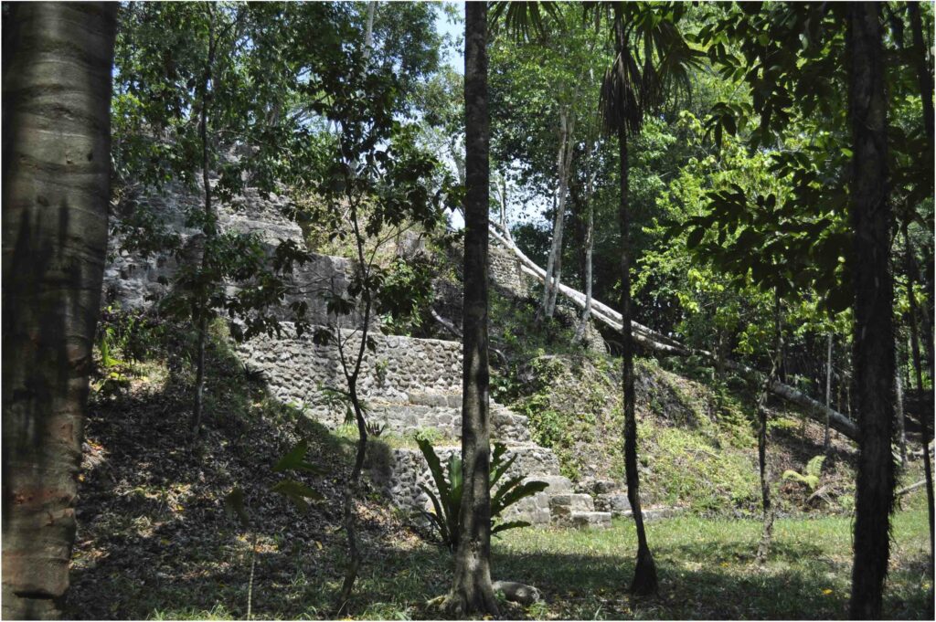 News - Early Maya Saltworks Discovered in Belize - Archaeology Magazine