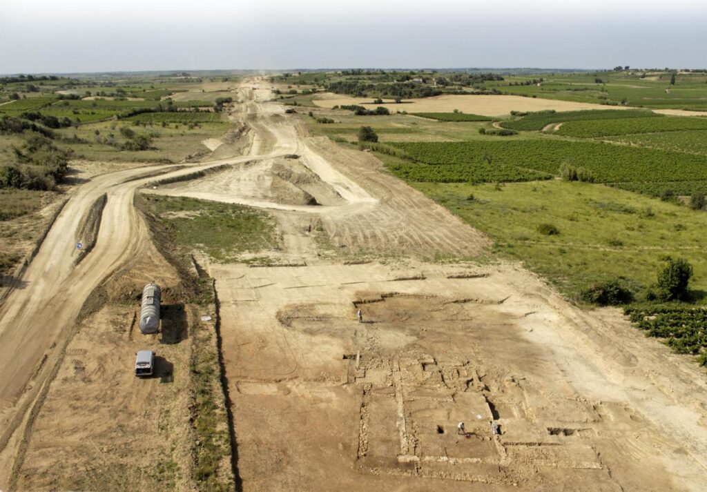 News - DNA Analysis Links Ancient and Modern Grapes - Archaeology Magazine