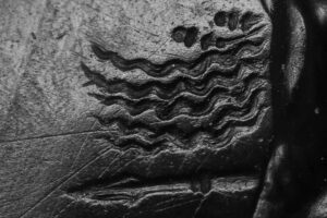 Features - World of the Griffin Warrior - Archaeology Magazine ...