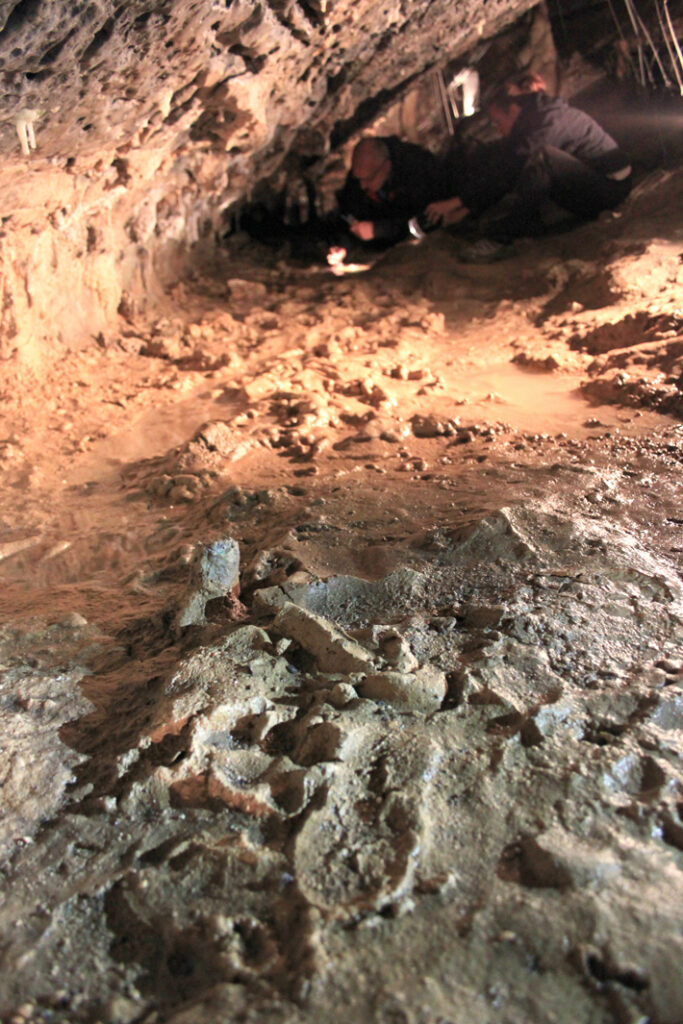 News - Paleolithic Hunter-Gatherers Ground Oats - Archaeology Magazine