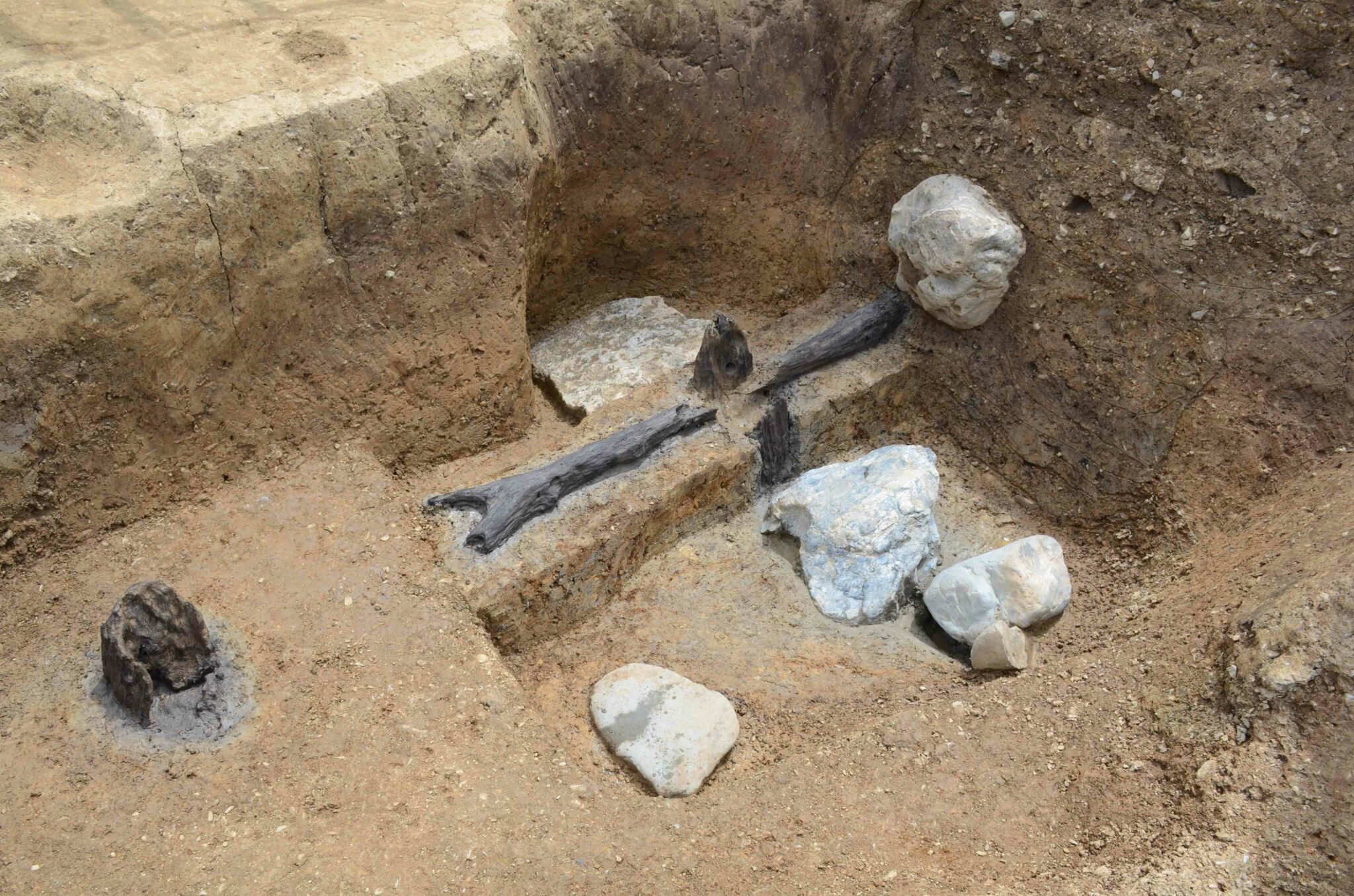 News - Japan’s “Ushikawa Man” Fossils Analyzed - Archaeology Magazine
