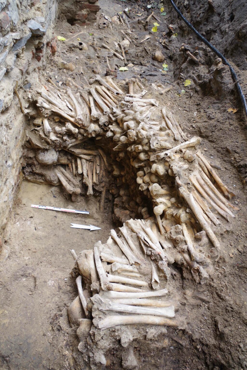News - Largest-Ever Medieval DNA Study Reveals Genetic History of ...