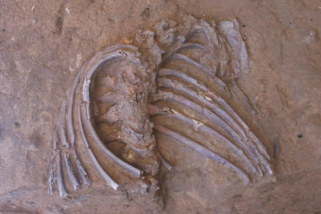 News - 6,500-Year-Old Hunting Kit Recovered from Texas Cave ...