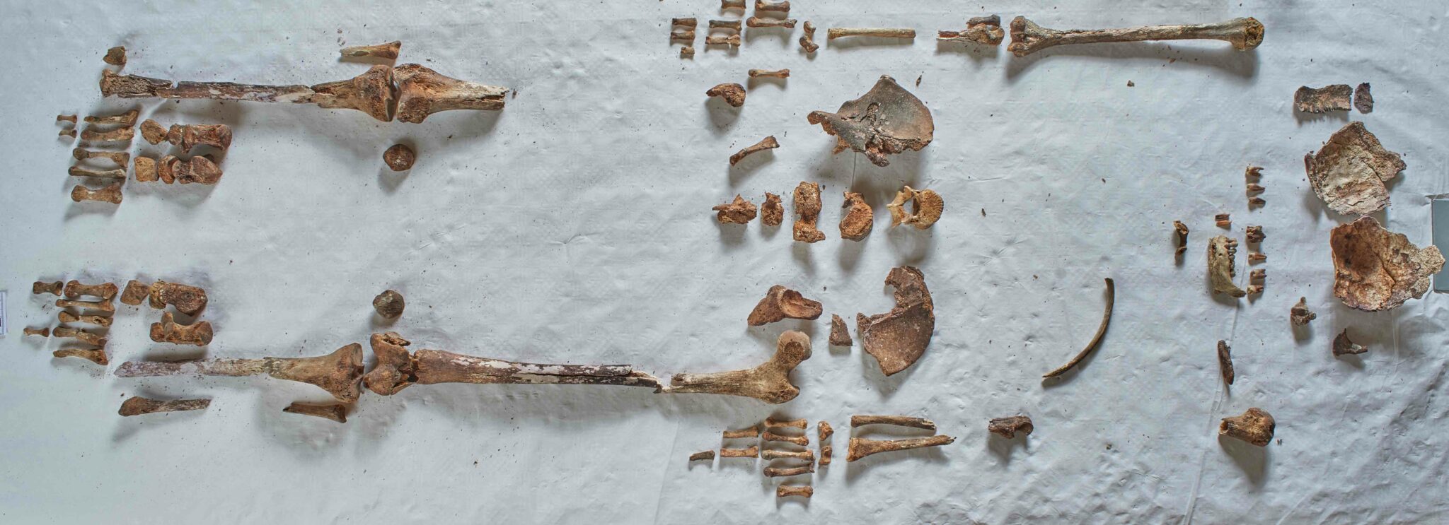 News - Mystery of Sutton Hoo Bucket Solved - Archaeology Magazine