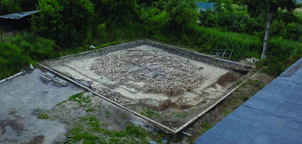 News - Massive Mammoth-Bone Structure Found in Kostenki, Russia ...