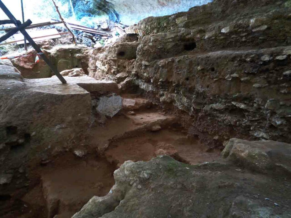News - Genetic Study Examines Neanderthal Blood Types - Archaeology ... News - Genetic Study Examines Neanderthal Blood Types - Archaeology ...
