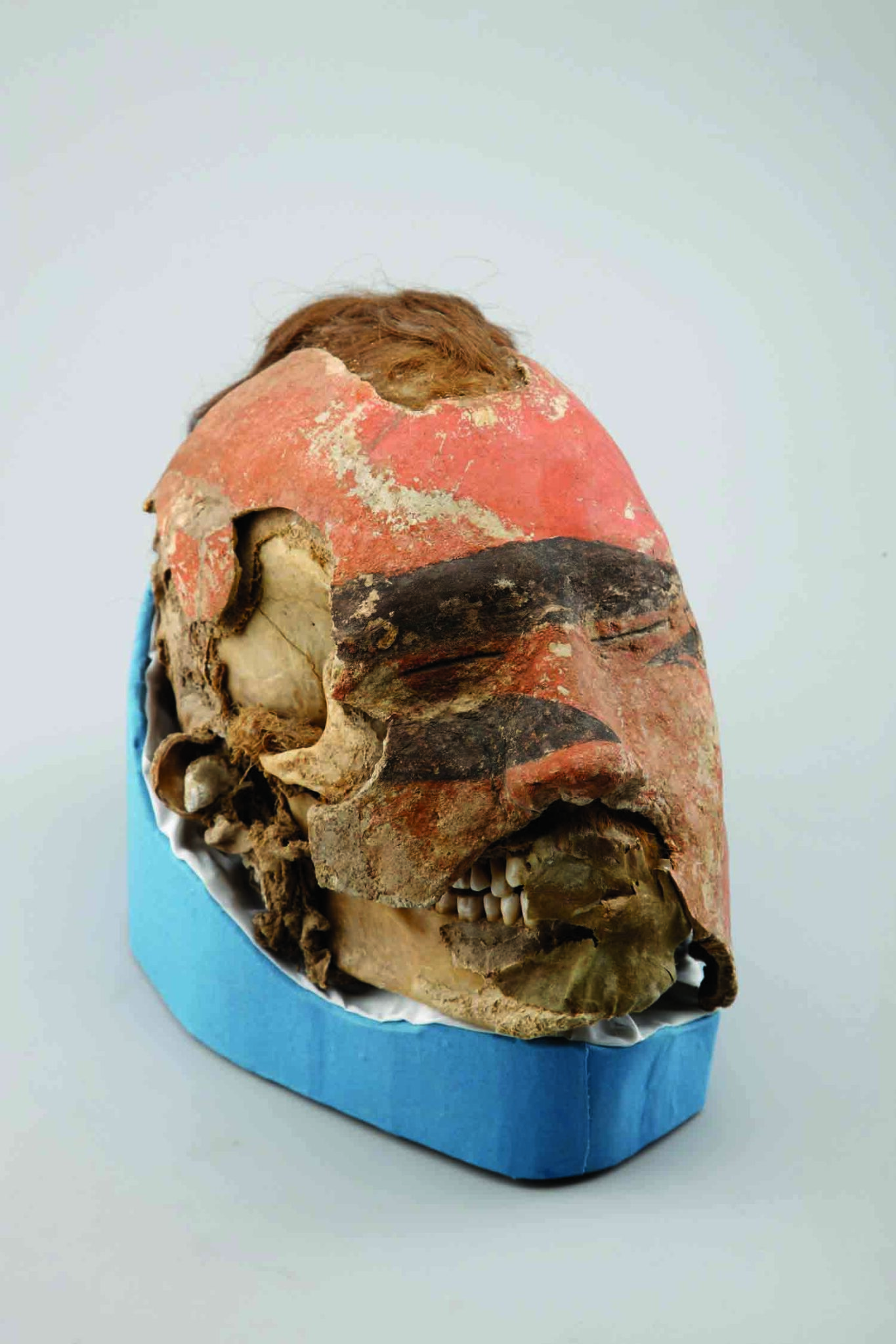 News - Scans Reveal 2,500-Year-Old Siberian "Ice Mummy" Had Intricate ...