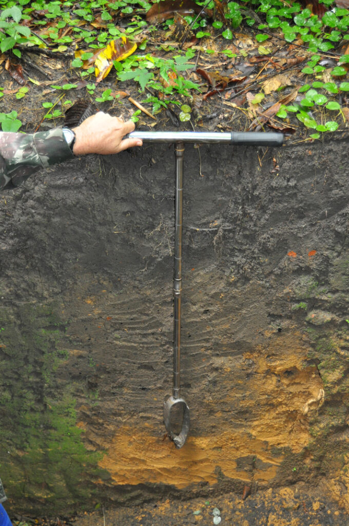 News - New Thoughts on Amazonia’s Dark Earth - Archaeology Magazine