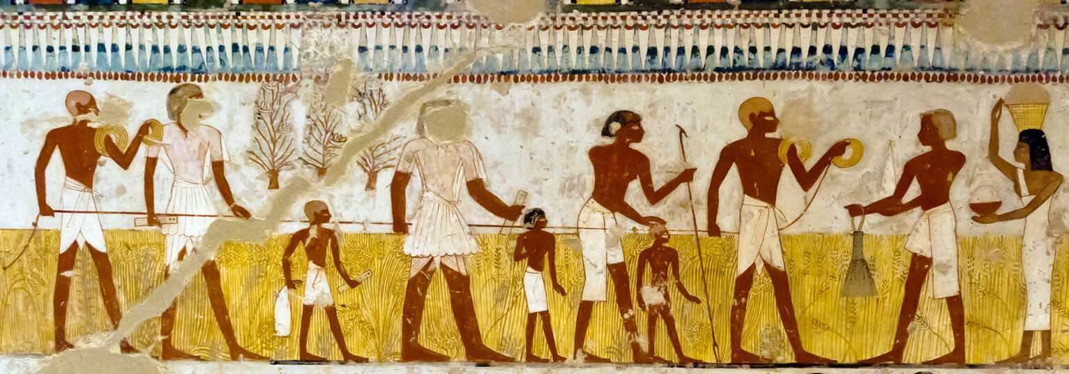 Ancient Tax Time - Render Unto Pharaoh - Archaeology Magazine - May ...