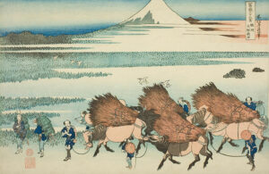 News - Japan’s “Ushikawa Man” Fossils Analyzed - Archaeology Magazine