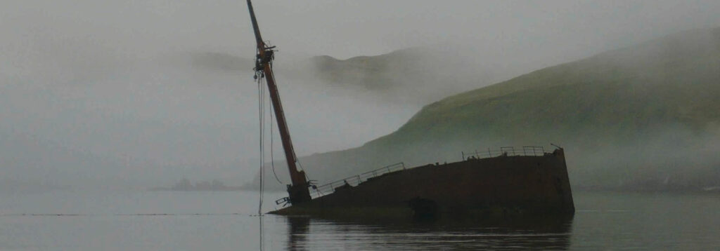 News - 1,000-Year-Old Food Storage Cache Discovered in Alaska ...