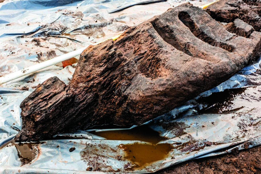 News - Giant Slab of Bog Butter Recovered in Ireland - Archaeology Magazine