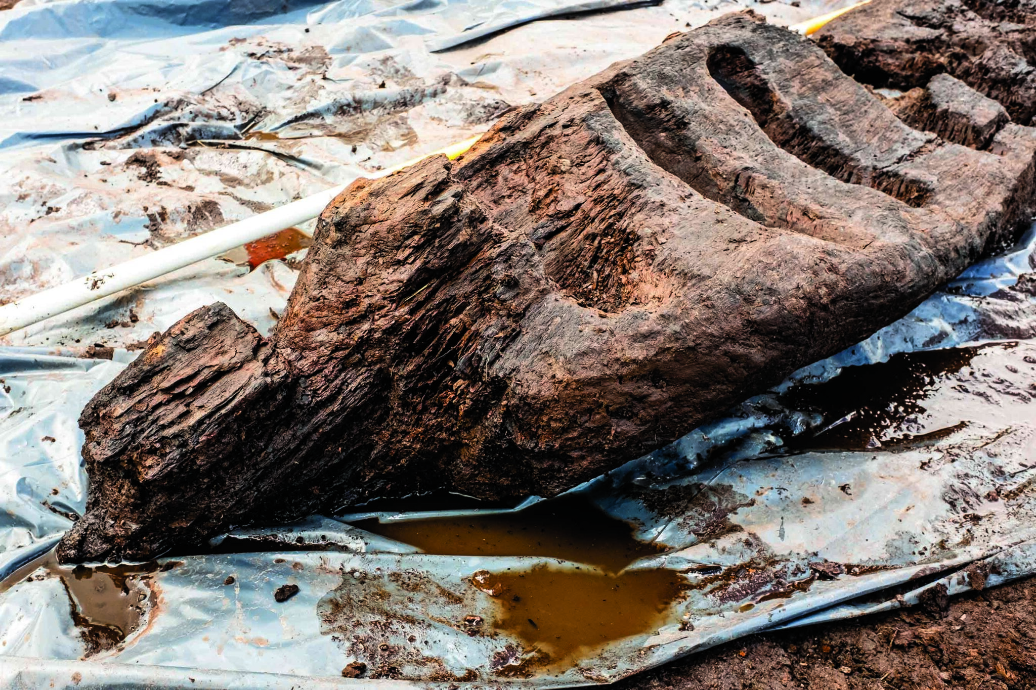 News - Giant Slab of Bog Butter Recovered in Ireland - Archaeology Magazine