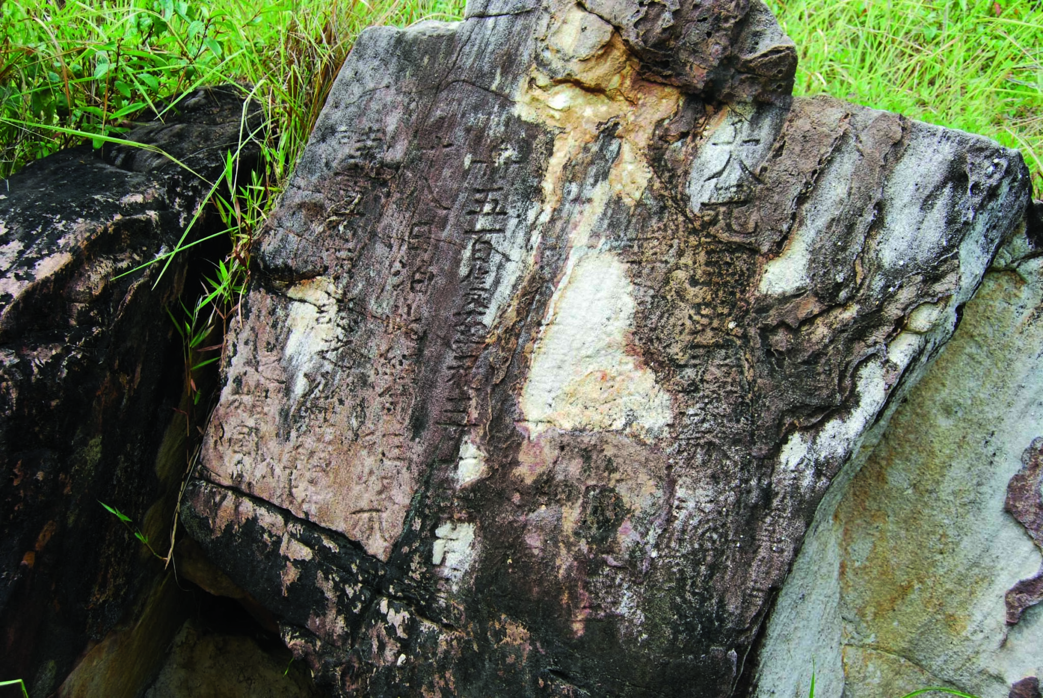 News - 140,000-Year-Old Bones Reveal Clues About Behavior of Extinct ...