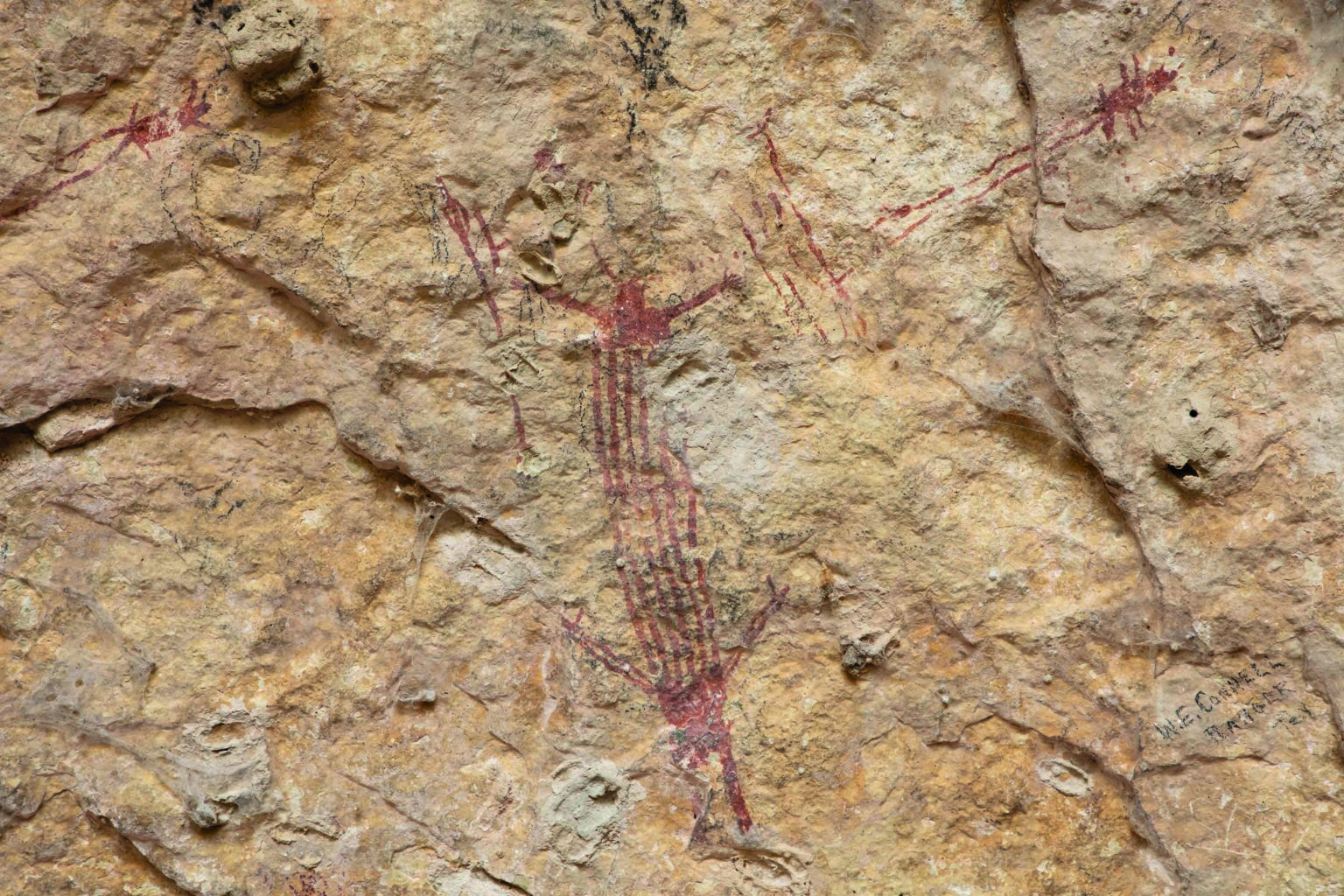 Features - Reading the White Shaman Mural - Archaeology Magazine ...