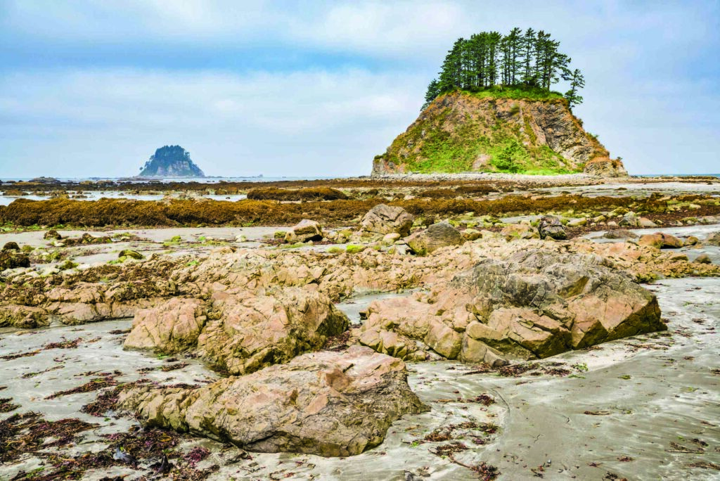 Off the Grid - Ozette, Washington - Archaeology Magazine - September/October 2022