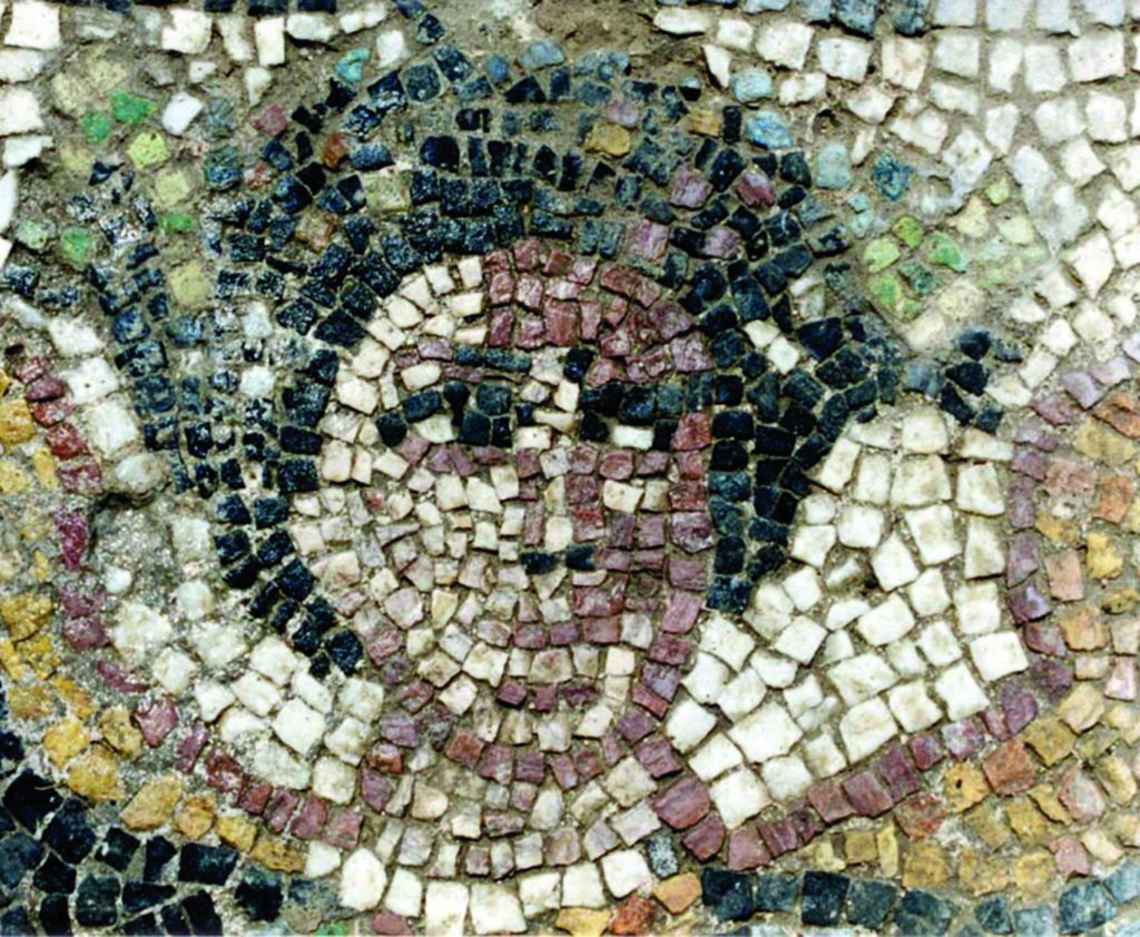 Digs & Discoveries - Reduce, Reuse, Recyle - Archaeology Magazine ...