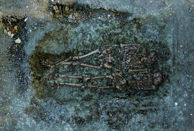News - DNA Study of Jamestown Bones Reveals Tangled Family Tale ...