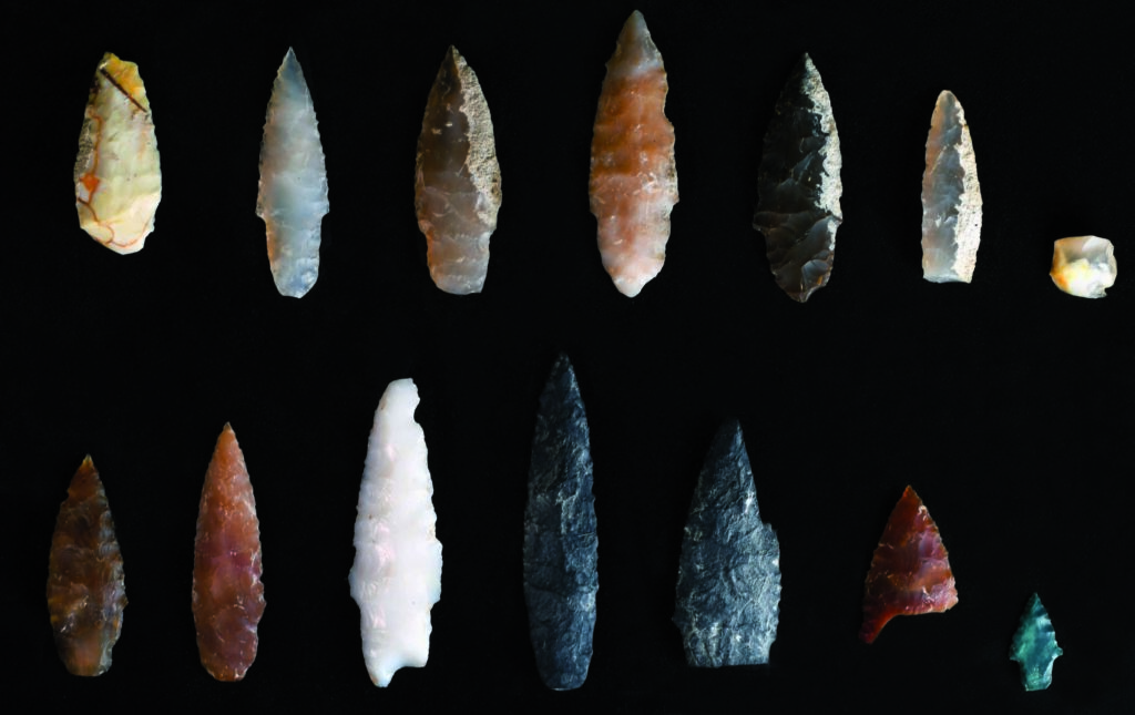 News - Japan’s “Ushikawa Man” Fossils Analyzed - Archaeology Magazine
