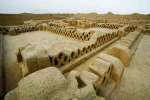 News - The Search for the Last Common Ancestor of Humans and Apes ...