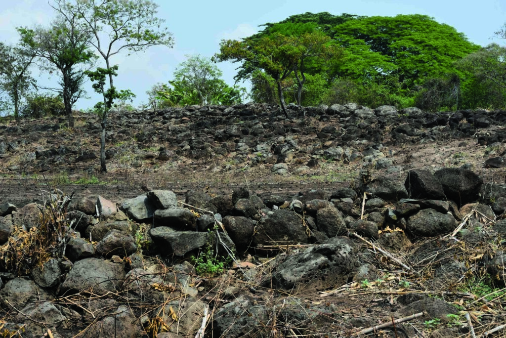 News - Megalithic “Blinkerwall” Found in the Baltic Sea - Archaeology ...