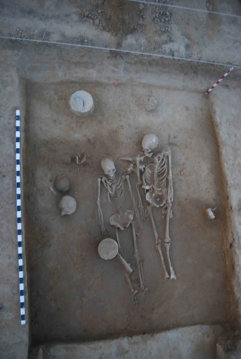 - A Plot of Their Own - Archaeology Magazine - July/August 2019
