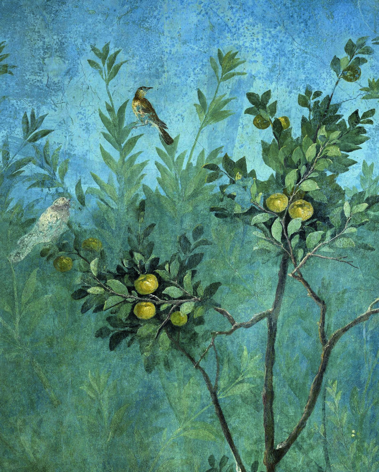 Top 10 Discoveries of 2019 - On the Origin of Apples - Archaeology ...