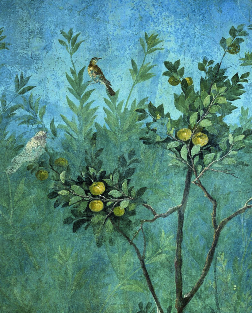 Top 10 Discoveries of 2019 - On the Origin of Apples - Archaeology ...