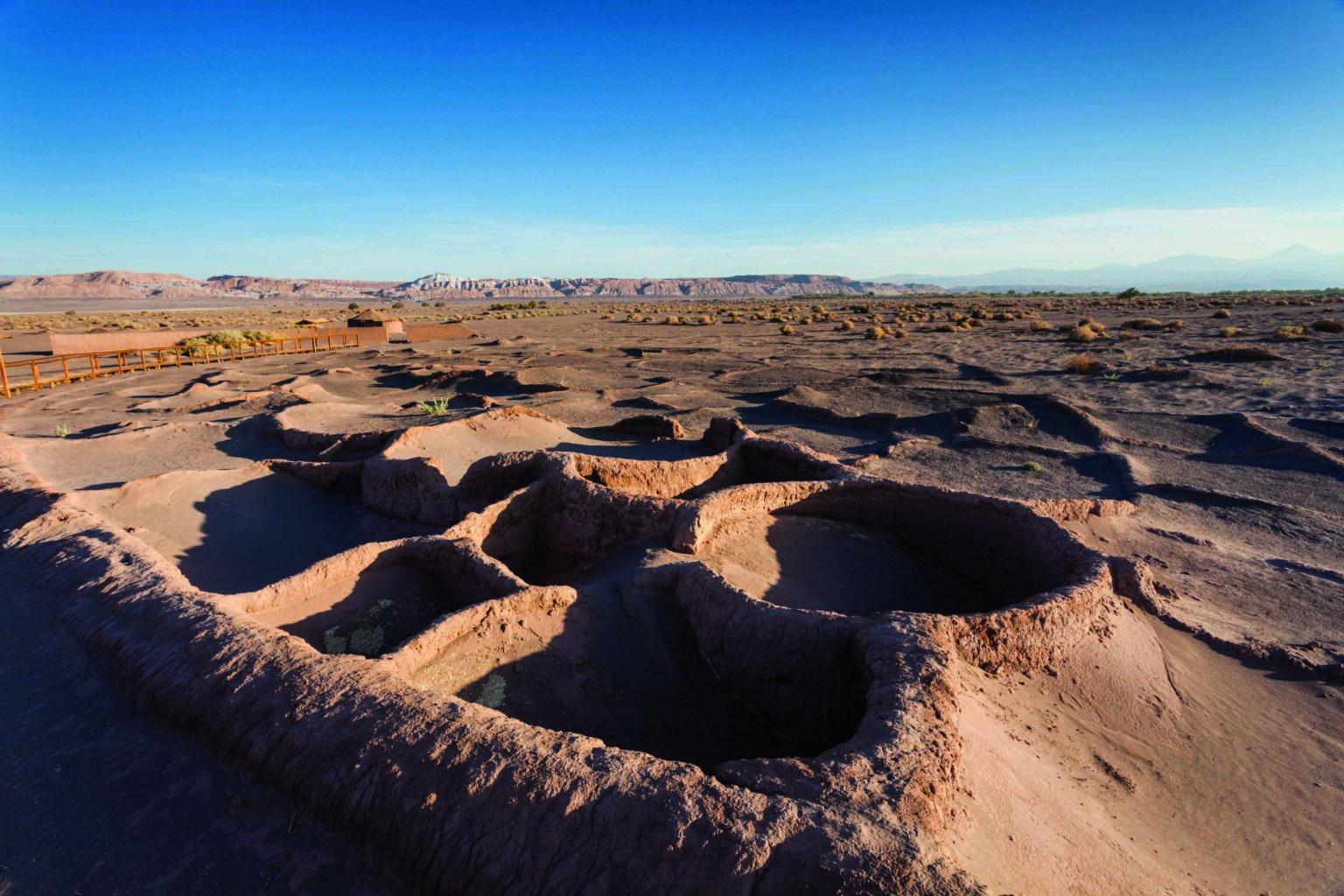 News - Head Size of Chile’s Chinchorro Mummies Measured - Archaeology ...